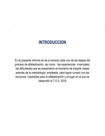 Introduccion De Un Informe