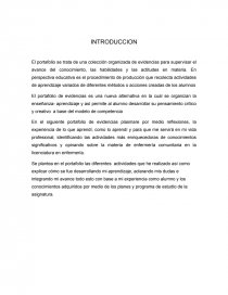 Ejemplo De Introduccion Para Un Portafolio De Evidencias